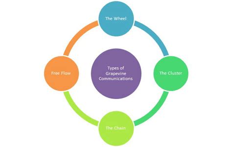 Image result for Grapevine Example