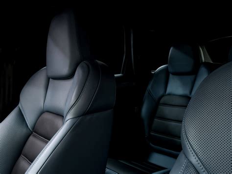 Image result for Leather Protection