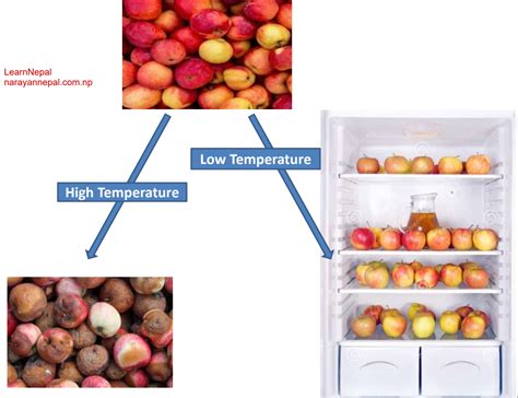 Image result for Chemical Kinetics Graphs Class 12