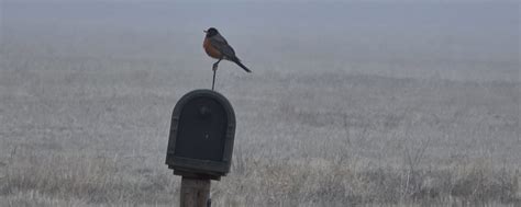 Image result for BSF Lecture Lesson 23