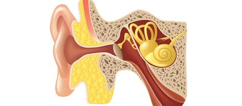 Image result for Positional Vertigo