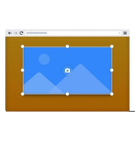 Image result for Web Screen Capture