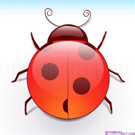 Image result for Ladybug Simple Drawing