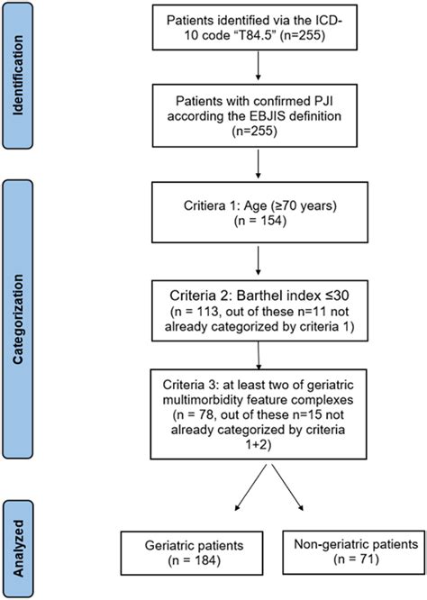 Image result for Process Categorization