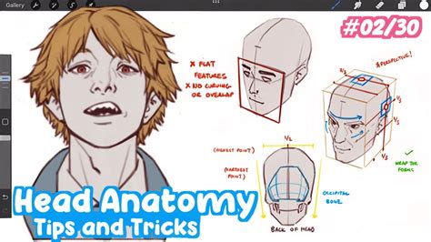 Image result for Head Tutorial Drawing Alt