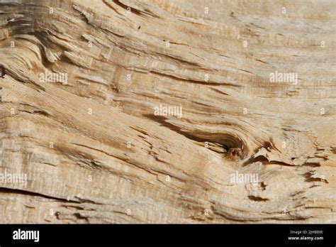 Image result for Split Log Texture