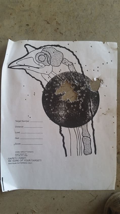 Image result for Patterning Shotgun with Boss Shot Shells