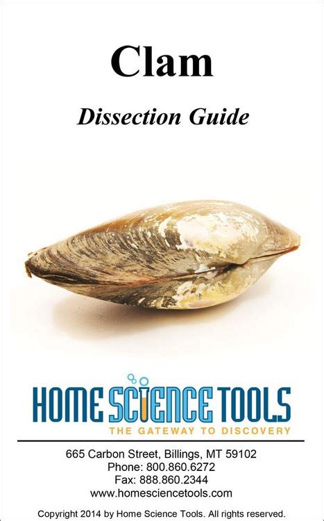 Image result for Clam Dissection