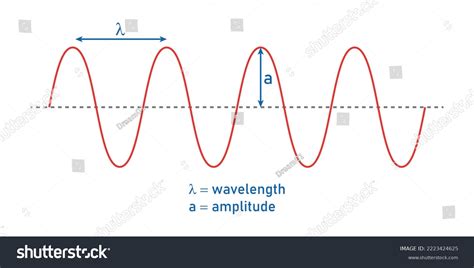 Image result for Longitudinal Wave Diagram Labeled