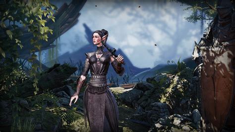 Image result for Divinity Original Sin Character Design