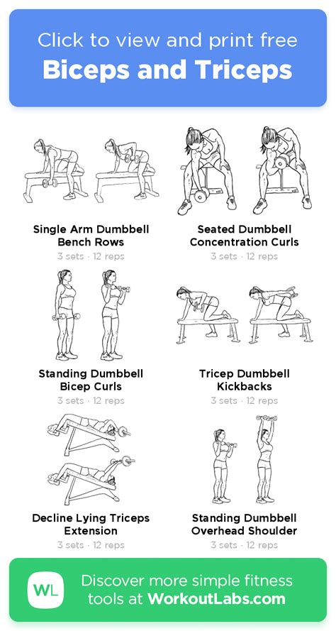 Image result for Arm Exercise Routine