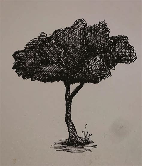 Image result for How to Draw a Tree in Hatching