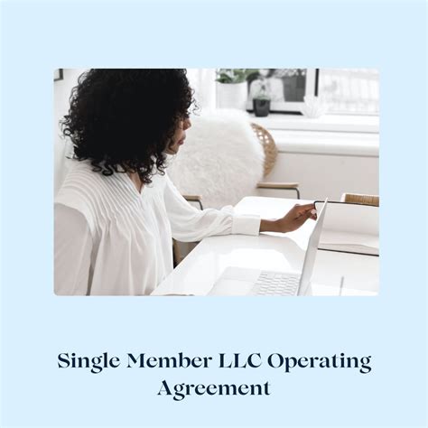 Image result for Single Member LLC Operating Agreement Sample