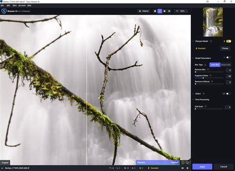 Image result for Topaz Labs Sharpen AI Tutorial