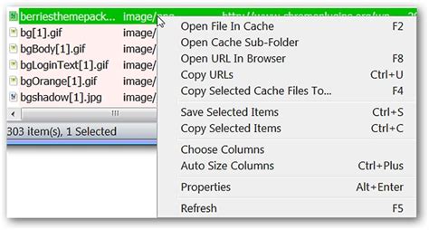 Image result for Internet Explorer Browser Cache