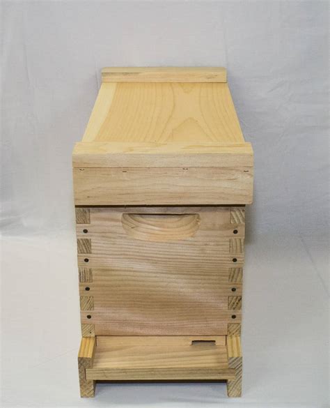 Image result for Five Frame Nuc Box