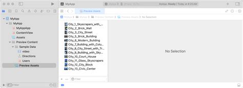 Image result for Xcode Interface