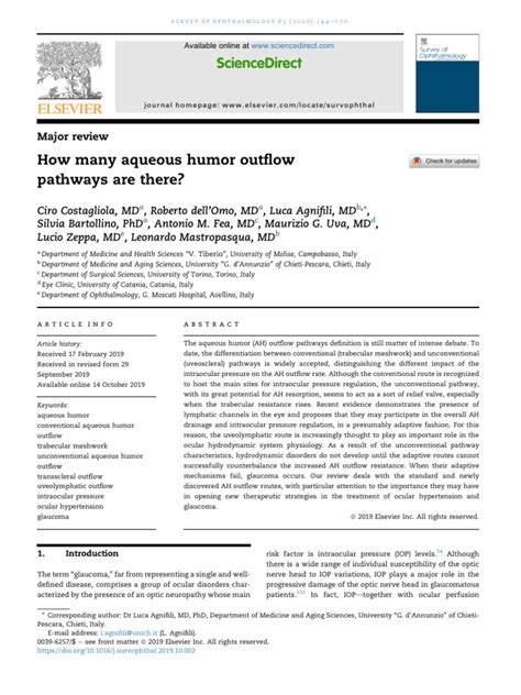 Image result for Aqueous Humor Outflow