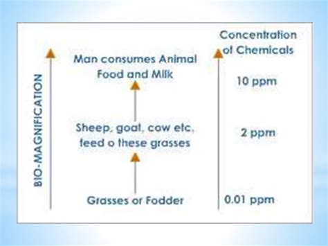 Image result for Environmental Issues Class 12