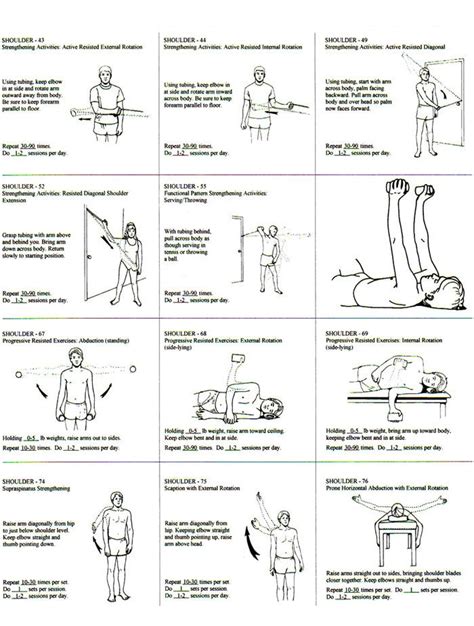 Image result for Dynamic Shoulder Stabilization Exercises