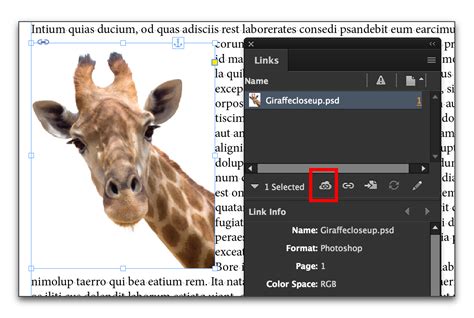 Image result for InDesign Image Modifier