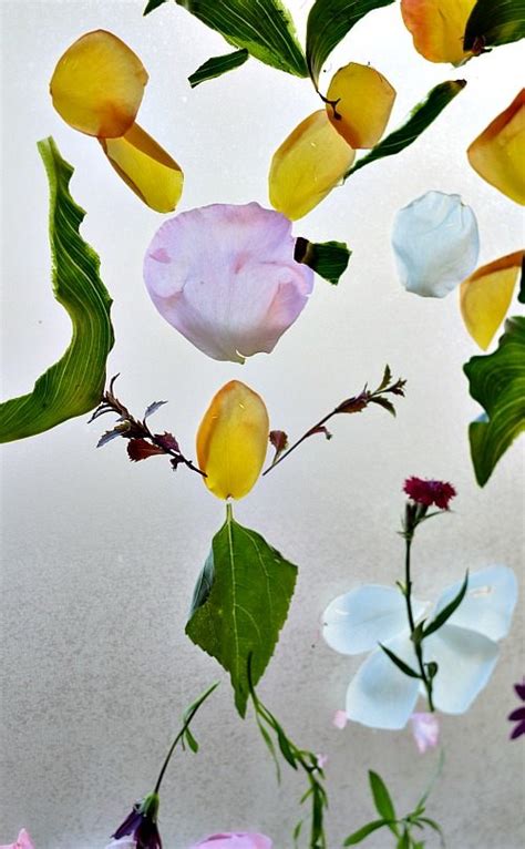 Image result for Flower Spring Fun Activities