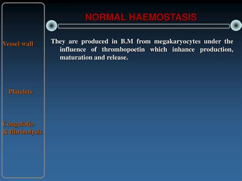 Image result for Normal Haemostasis