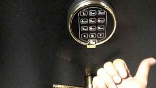 Image result for Program Cannon Safe Lock Type B