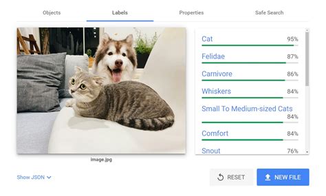 Image result for Visual Search Terms