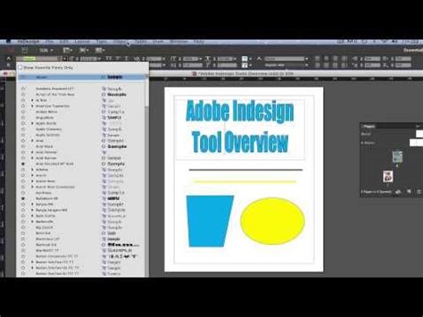 Image result for Adobe InDesign Overview