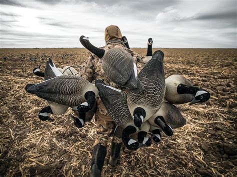 Image result for Goose Hunting Setups