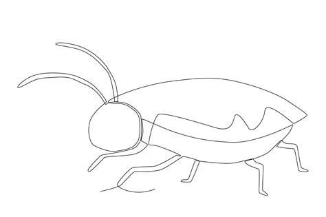 Image result for Cockroach Line Art