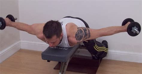 Image result for Back Fly Exercise