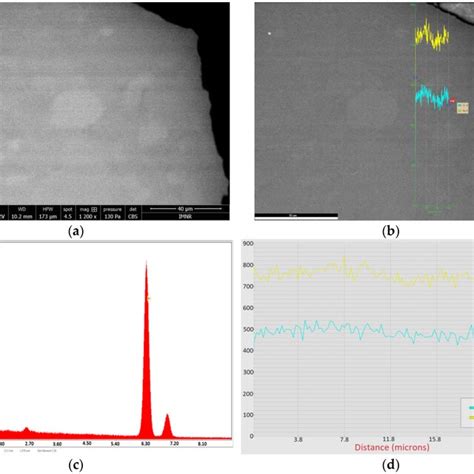 Image result for Scanning Electron Spectroscopy