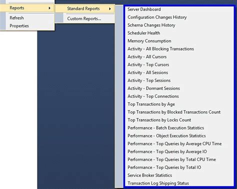 Image result for MS SQL Server Management Studio Report Viewer
