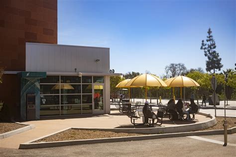 Image result for Ce Spring Break