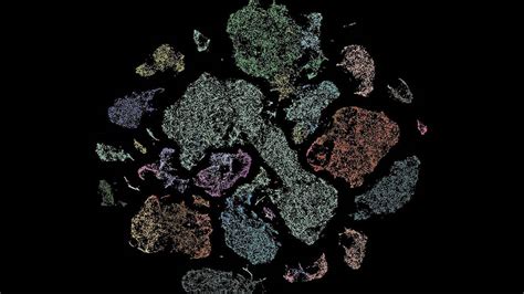 Image result for The Human Brain Map Project