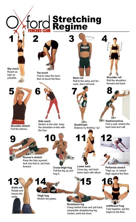 Image result for Pre-Workout Stretch Routine
