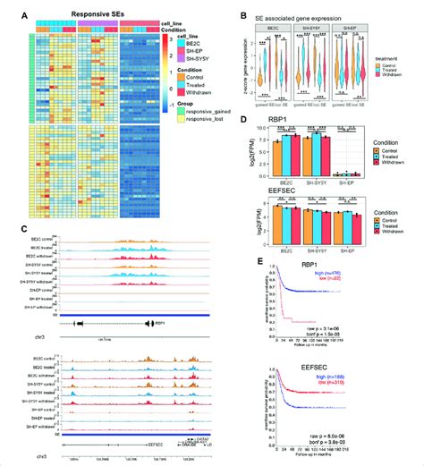 Image result for Super Repressor Enhancer