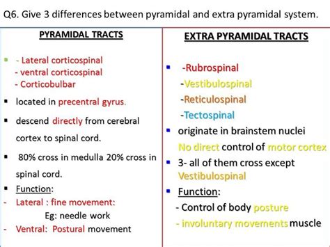Image result for Pyramidal and Extrapyramidal System