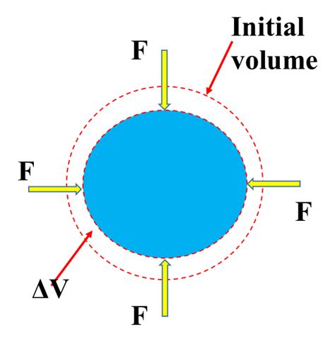 Image result for Basic Physics Elasticity