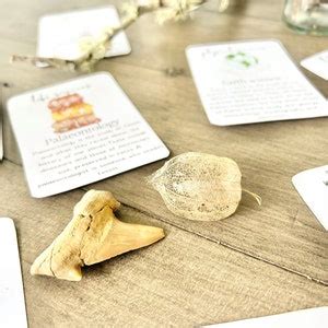 Image result for Science Flash Cards Printable