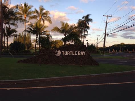 Image result for Turtle Bay Golf Course