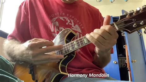 Image result for Mandolin String Types
