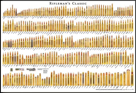 Caliber Bullet Size Chart - Minimalist Chart Design