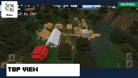 Image result for Minecraft Swamp Village Map