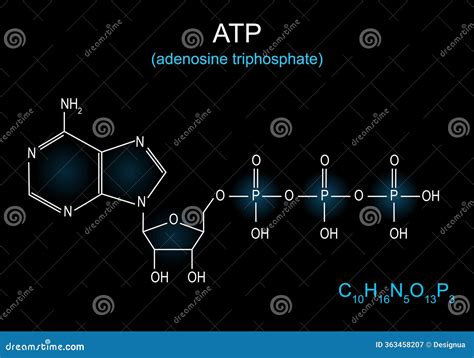 Image result for ATP Formula