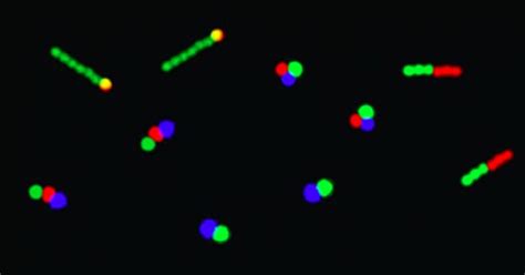 Image result for How to Know How to Form Molecules