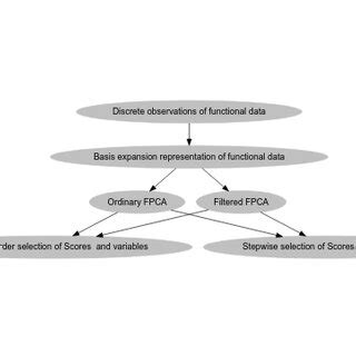 Image result for Logit Functional Form