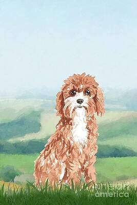 Image result for Cavapoo Art